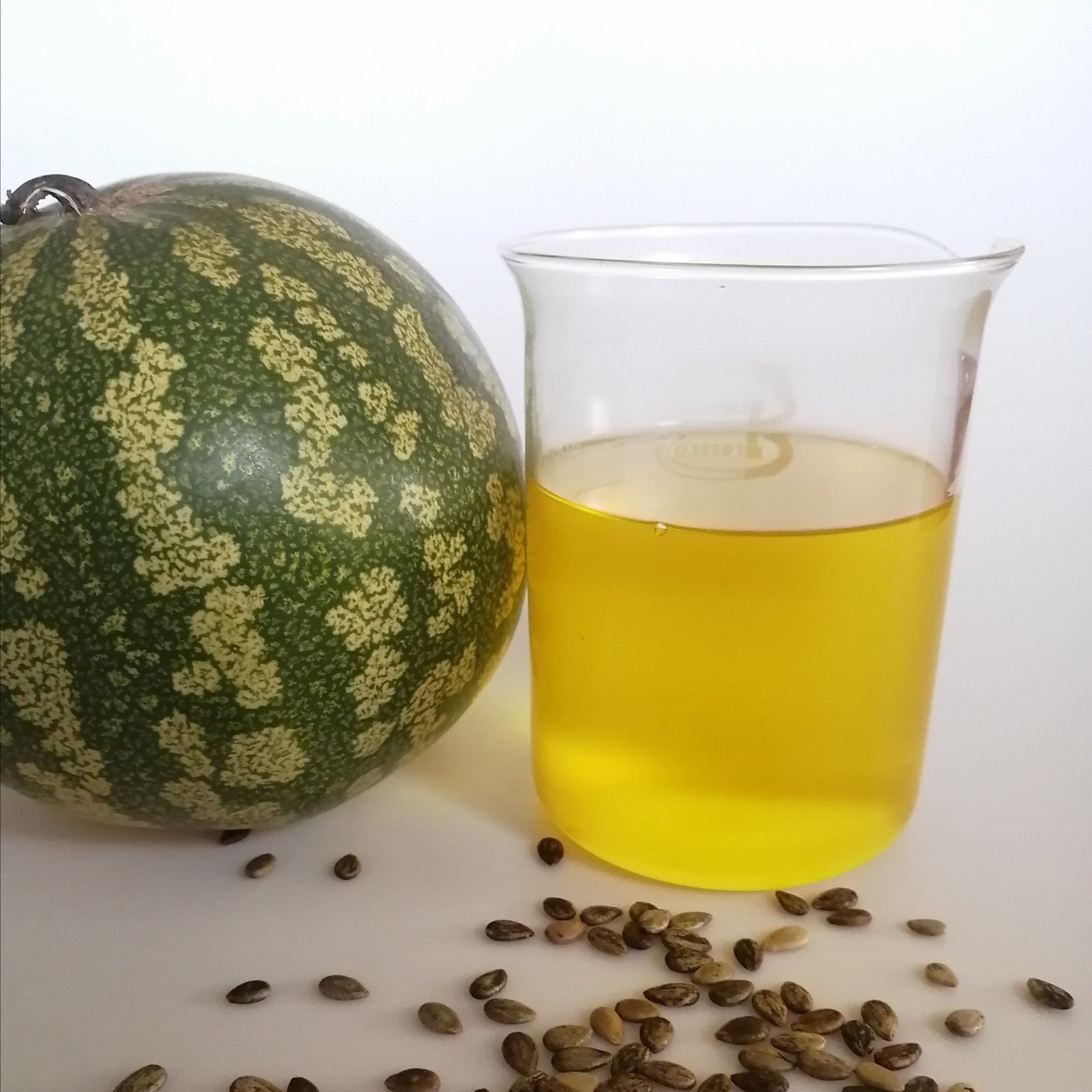 Kalahari Melon Seed Oil - Virgin - Isivuno Naturals